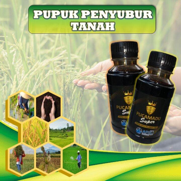 Pupuk penyubur tanah / obat Penyubur tanah pertanian / pupuk penyubur ...