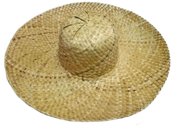 EUGENE'S 3 Pcs Native Sombrero (17 inch diameter) | Lazada PH