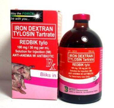 [G&G] REDBIK TYLO / 100ML / SYRUP / ANTI - ANEMIA WITH ANTIB/IOTIC ...