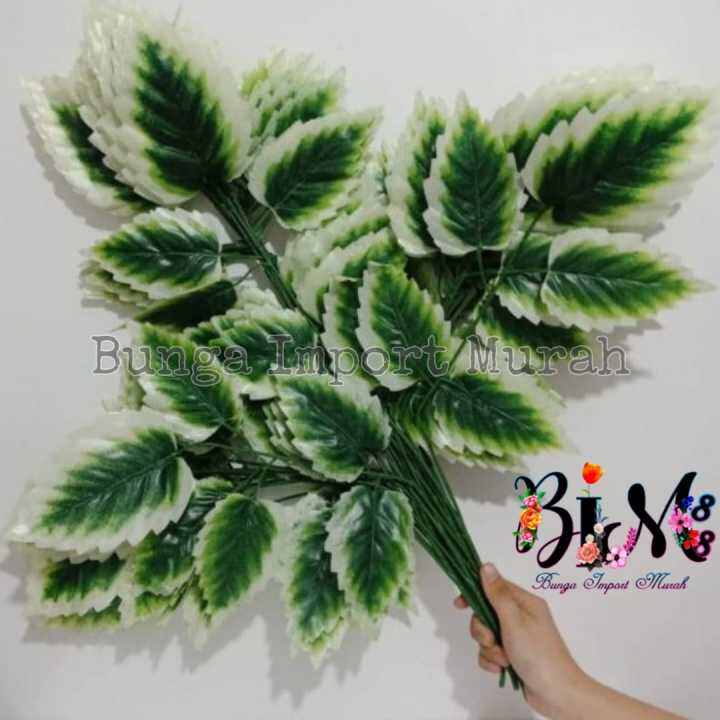 DAUN GERIGI CABANG 3 WARNA HIJAU/GERIGI/DAUNMURAH/BUNGA/DEKORASI ...