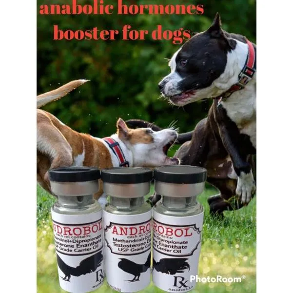 Dog Anabolic Steroids