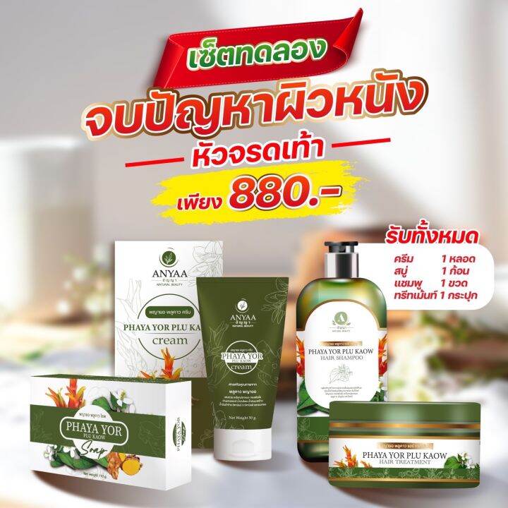 ครีม1 สบู่1 แชมพู1 ทรีทเมมท์1 แก้คัน เชื้อรา กลากเกลื้อน Anyaaพญายอ ...
