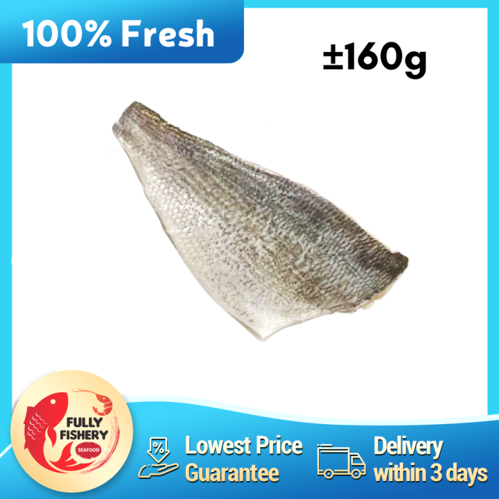 [Fully Fishery] Siakap Fillet (± 160gm/pcs) | Lazada