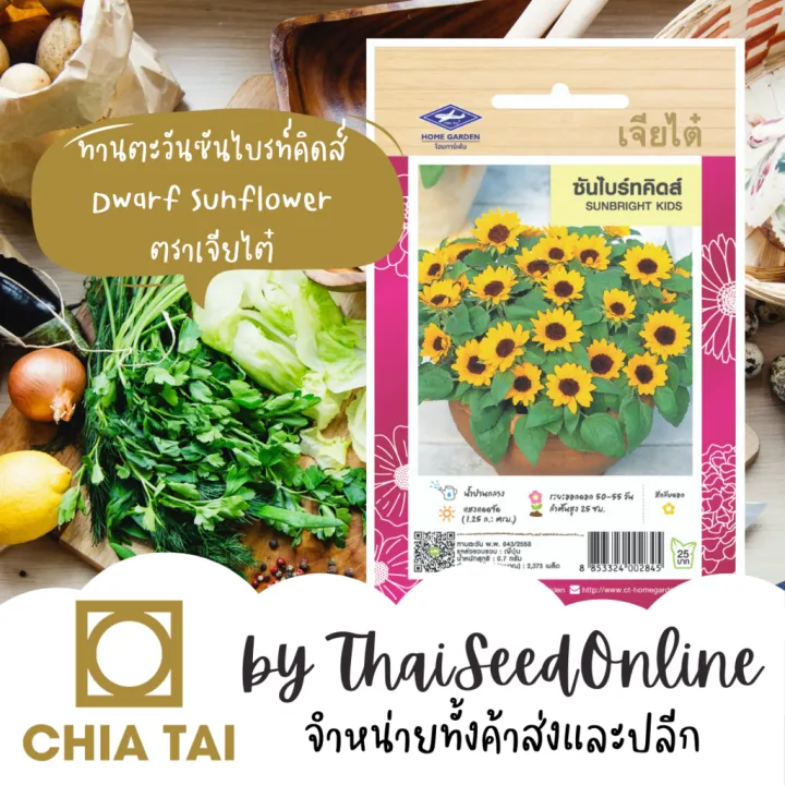 เมล็ดพันธุ์ดอกไม้ ทานตะวัน ซันไบร์ทคิดส์ SUNFLOWER SUNBRIGHT KIDS ตรา ...