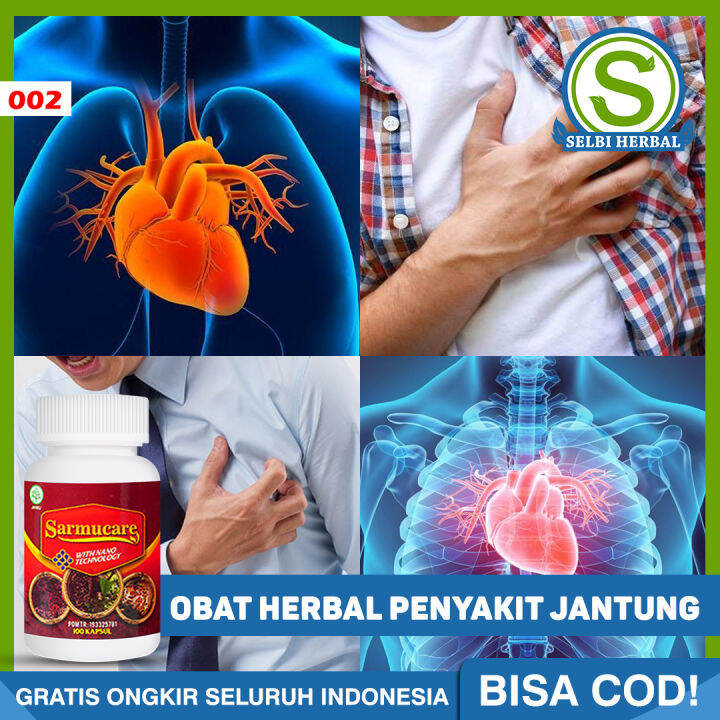 Kapsul Sarang Semut Sarmucare Original - Obat Herbal Penyakit Jantung ...