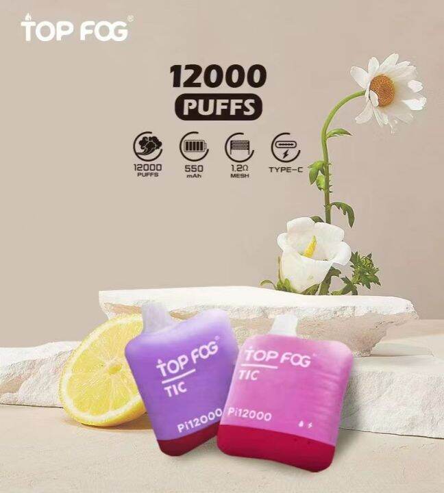 Top Fog 12000 Puffs Disposable Pod - Rich Flavor | Complete Kit with ...