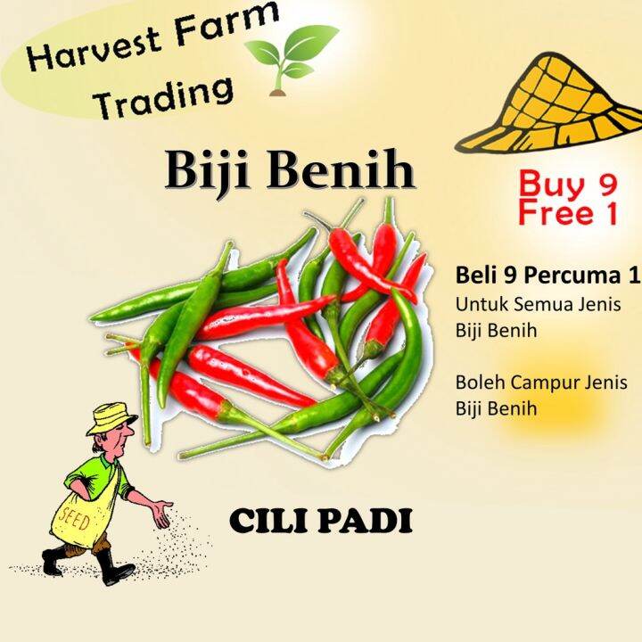 Cili padi 25pcs Biji Benih Cili Api 25 Biji Vegetable Seed Chili 小辣椒种子 ...