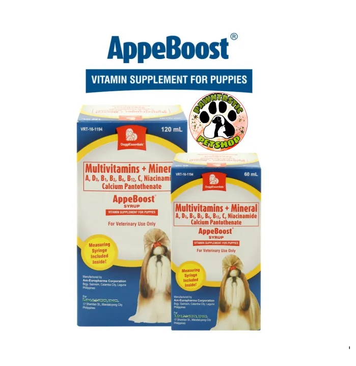 AppeBoost Multivitamins 120mL | Lazada PH