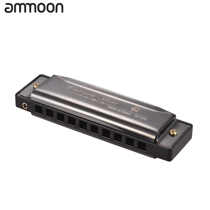 Key of C Diatonic Harmonica Mouthorgan with ABS Reeds black | Lazada PH