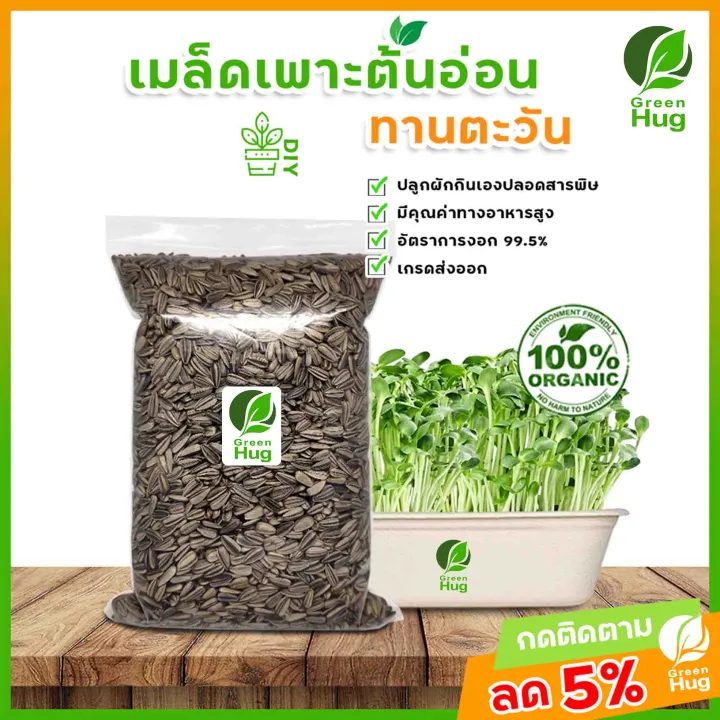 เมล็ดทานตะวัน *300กรัม* ( Sunflower Seeds 300 g. ) GREENHUG เมล็ดต้นอ่อน | Lazada.co.th