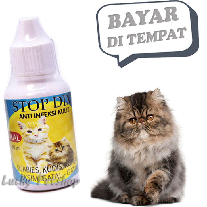 Obat Kucing Koreng STOP DIX ORAL Anti Jamur Gudix Gatal Scabies Infeksi ...