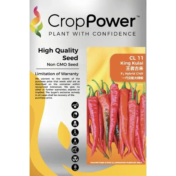 Benih Cili Besar CL11 King Kulai F1 Hybrid Chilli Crop Power - ( 10g ...
