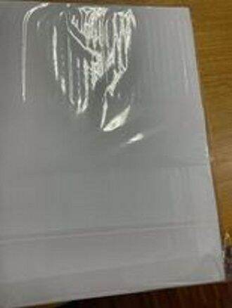 TM Sticker Paper Matte A4 100 pcs. per pack | Lazada PH