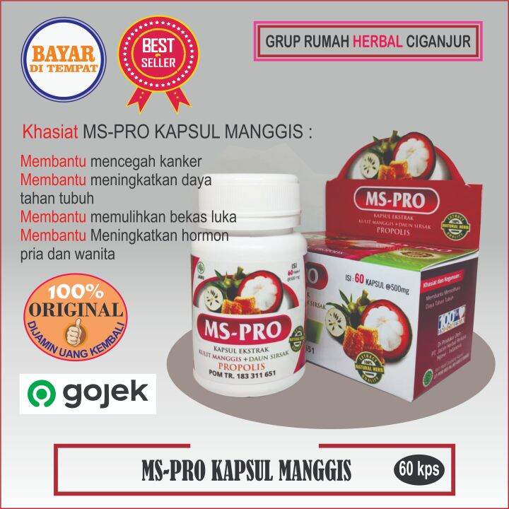 MS-PRO Kapsul Ekstrak Kulit Manggis plus Daun Sirsak Propolis Efektif ...