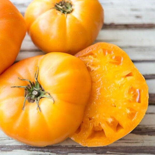 Yellow Brandywine Tomato Seeds - Tomato Brandywine Seeds - Yellow ... Yellow Brandywine Tomato Seeds - Tomato Brandywine Seeds - Yellow ...