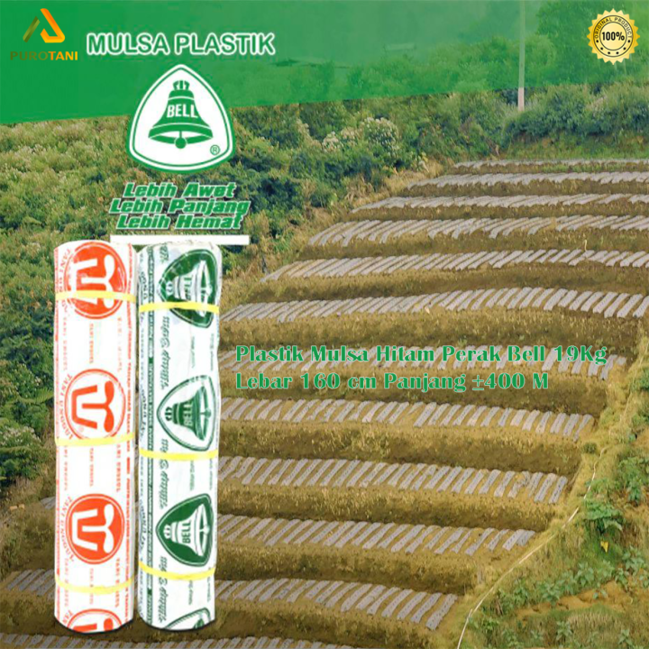Plastik Mulsa Hitam Perak Bell 18Kg Lebar 160cm Panjang 400 Meter 80CM ...