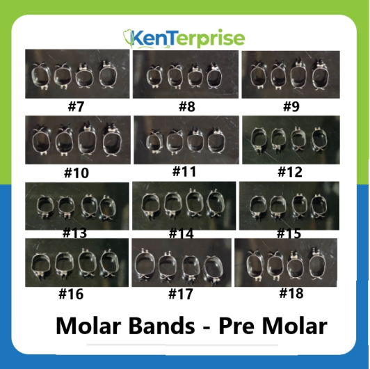 Dental Universal Pre Molar Bands (#7-#18) | Lazada PH