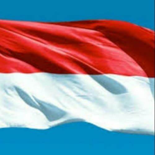 BENDERA KAIN DIRGAHAYU KEMERDEKAAN RI BENDERA KAIN | Lazada Indonesia