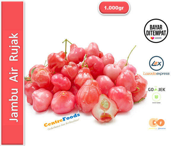 Jambu Air Merah - Rujak | 1.000gr [ Harga Per KG ] | Lazada Indonesia