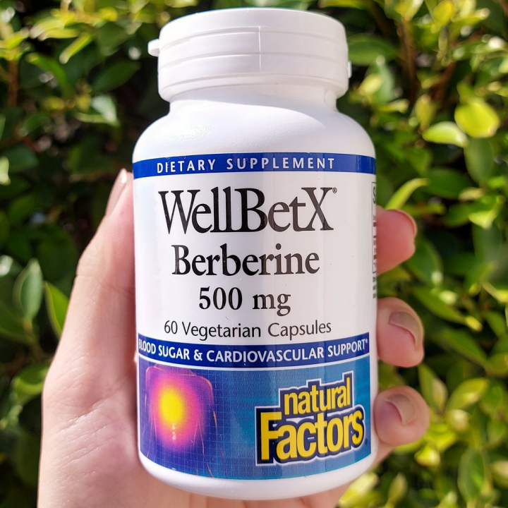 เบอร์แบร์ริน WellBetX Berberine 500 mg 60 or 120 Vegetarian Capsules ...