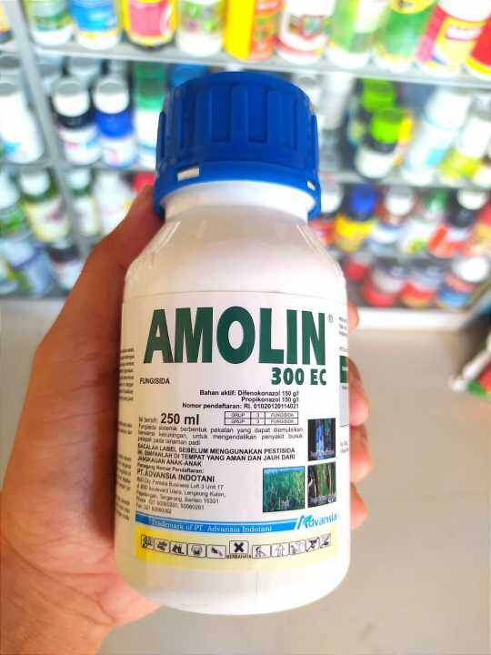 Amolin 250 ml - Fungisida Sistemik Untuk Mengatasi Busuk Pelepah Busuk ...