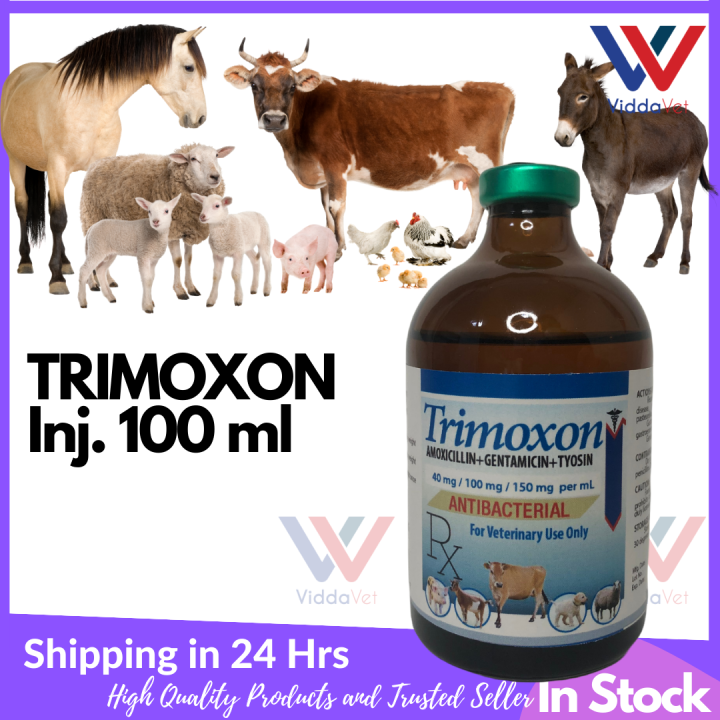 Trimoxon 100 ml Inj. | Lazada PH