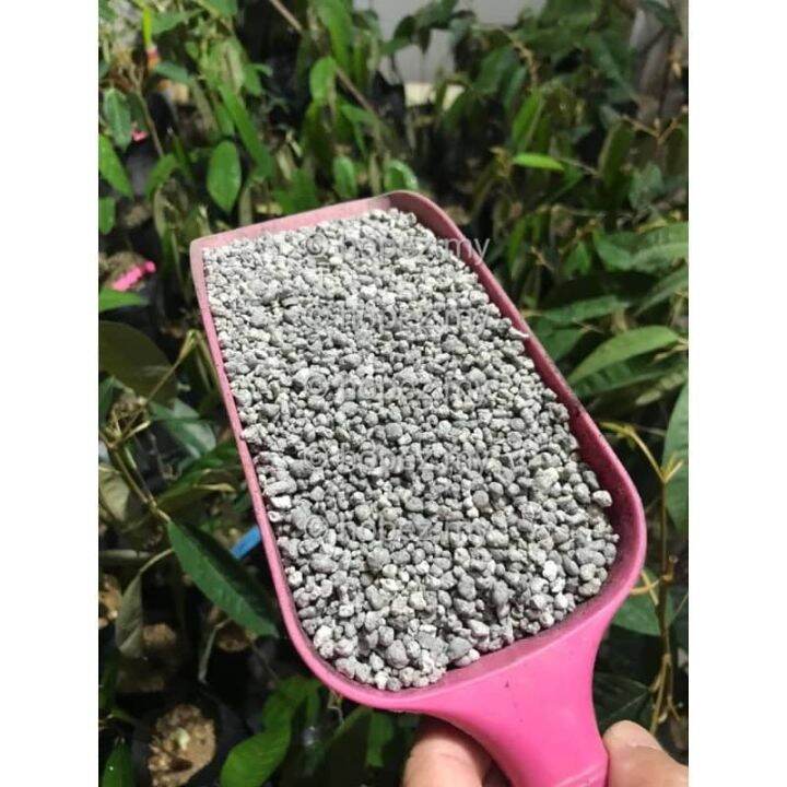 TSP Triple Super Phosphate Granulate Fertilizer P2O5 Baja Akar 生根磷肥 ...