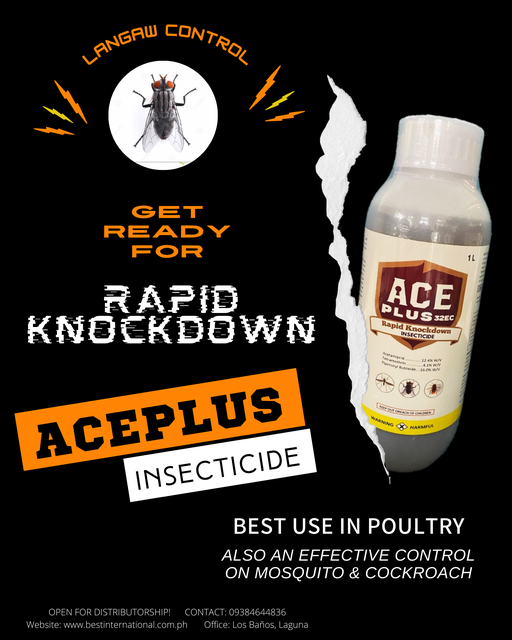 Aceplus 1 Box Sale with Free 1L Alpha One | Lazada PH