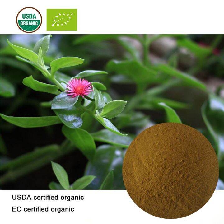 Chinese Andrographis Paniculata Extract Andrographolide Powder Resisting Pathogenic Microbes