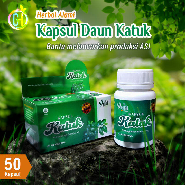 Daun Katuk Herbal Alami 50 Kapsul Original | Lazada Indonesia