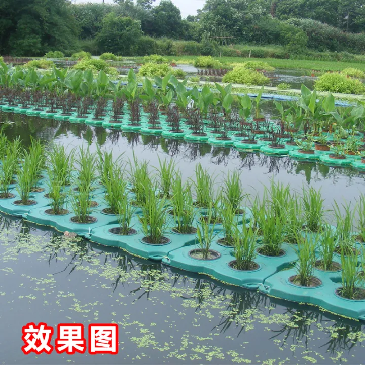 Plant and vegetable planting floating plate on artificial floating ...