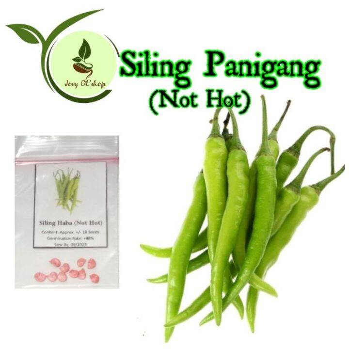 Siling Haba Ilokano or Siling Panigang Seeds | Lazada PH Siling Haba Ilokano or Siling Panigang Seeds | Lazada PH