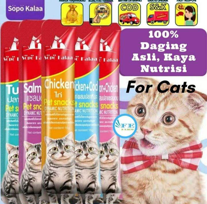 Snack kucing Adult Kitten Cream Basah Hewan Setara Meo Creamy Makanan ...