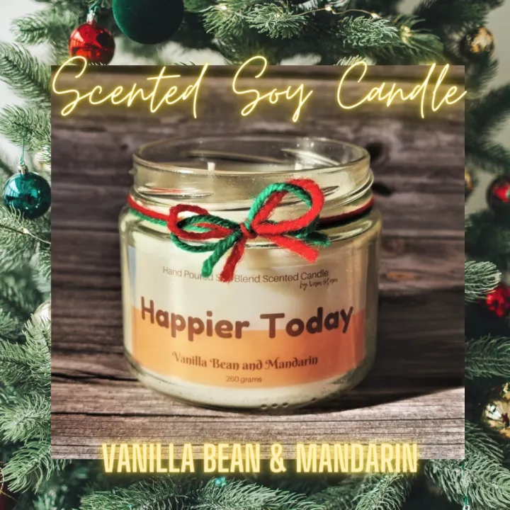 popular Vanilla Bean & Mandarin Scented Soy Candle by Vain Stain ...