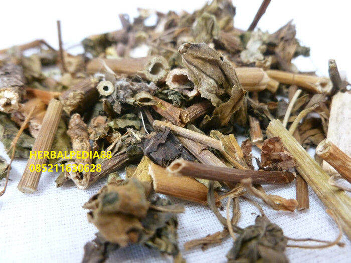 bai jiang cao 败酱草 Patriniae Herba 600 gram | Lazada Indonesia