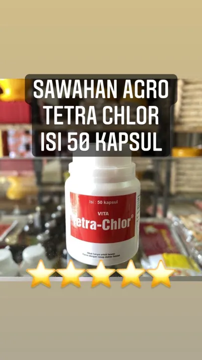 vita tetra chlor isi 50 kapsul obat ngorok pilek cekrek snot unggas ...