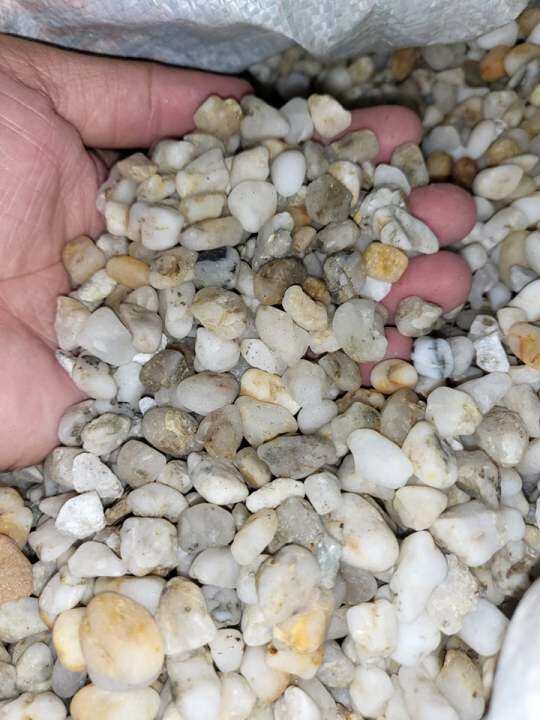1Kg High quality GARDEN PEBBLES / AQUARIUM STONE - white pebbles - 1 ...