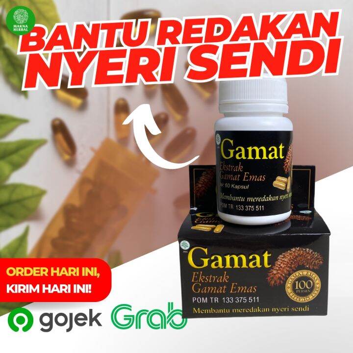 Ekstrak Gamat Emas Kapsul Jelly Gamat Kapsul Gamat Emas Teripang Emas ...