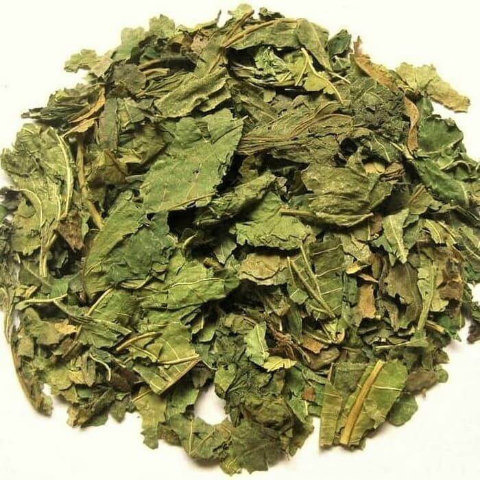 600 G GR GRAM SAN SANG YE FOLIUM MORI MULBERRY LEAF LEAVES | Lazada ...