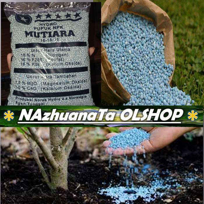 Pupuk NPK Mutiara biru -NPK 16-16-16 isi 1kg | Lazada Indonesia