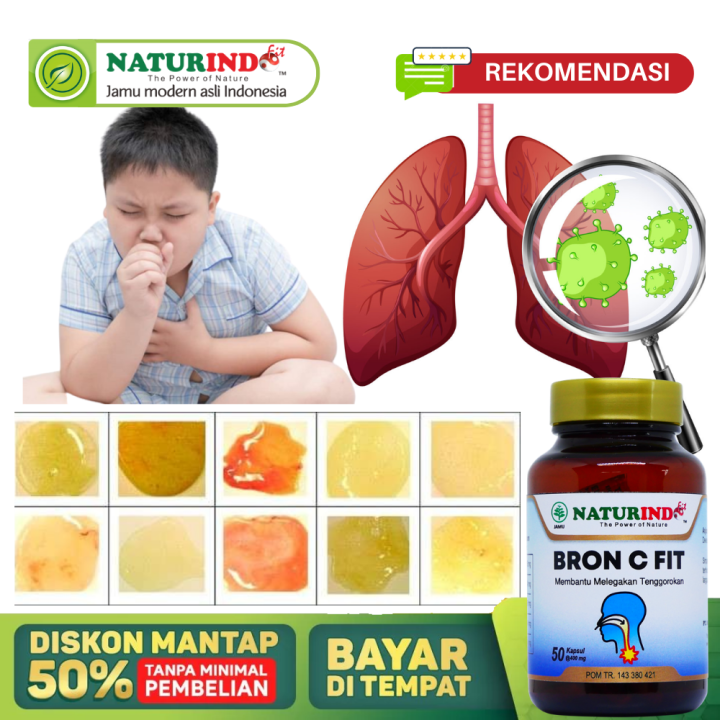 Obat Pengencer Dahak Dewasa Paling Ampuh Gurah Lendir Dan Dahak Suara ...