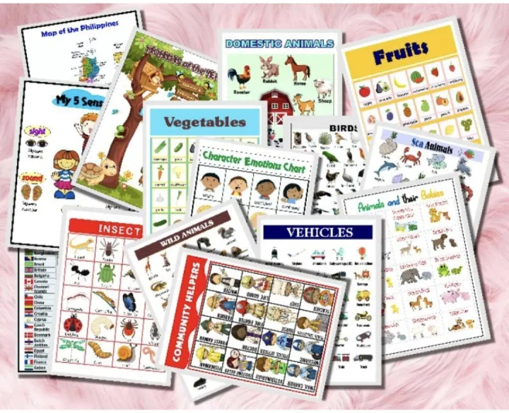 [COD]Educational Laminated Chart Alphabet, numbers, shapes, colors ...