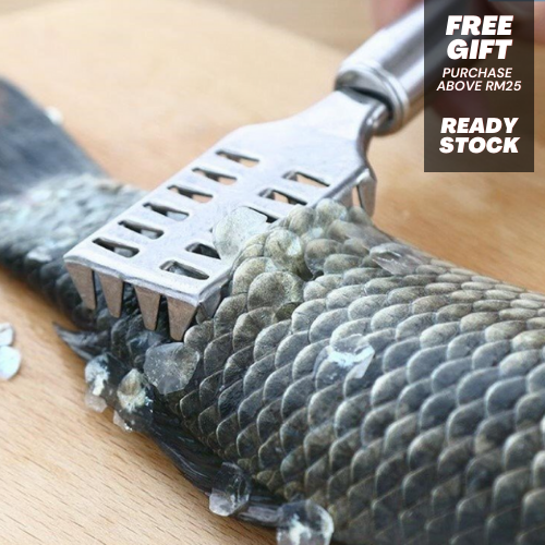 Stainless steel Fish scale graters scraper/ fish scale remover/alat ...