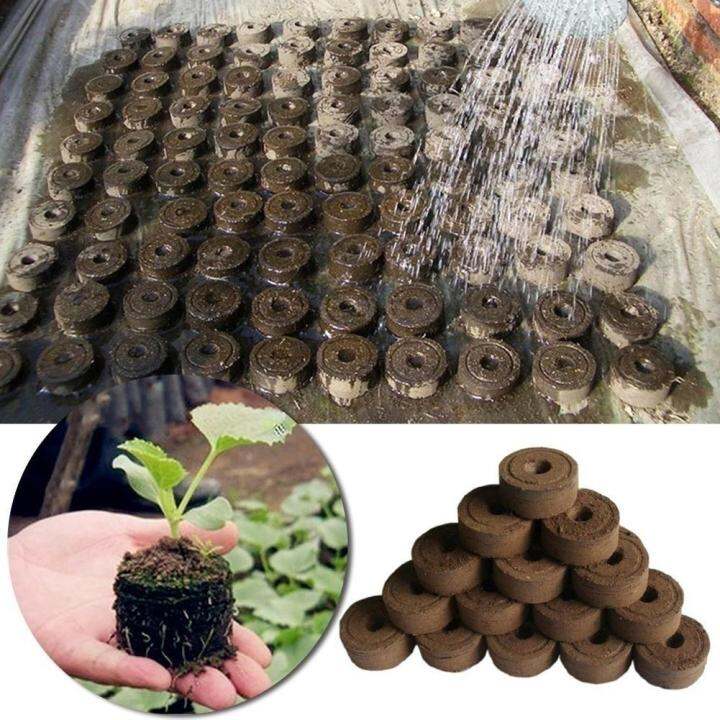 【EzBuying99】Seedlings Nutrient Block Compression Compressed Peat Blocks ...