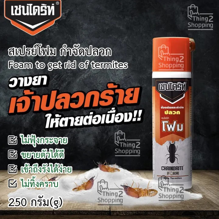 สเปรย์โฟม กำจัดปลวก ในบ้าน ในสวน ในดิน ตายยกรัง เชนไดร้ท์ Chaindrite ...
