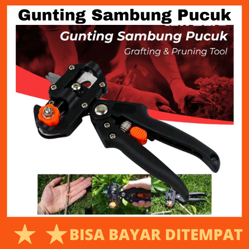 Gunting Sambung Pucuk Batang Tanaman Grafting Pruning Tool / Alat ...