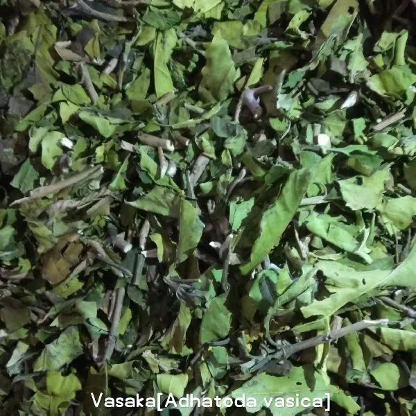 Dried Vasaka Leaf/ Adhatoda Illai / Adhatoda leaf / காய்ந்த ஆடாதொடை ...