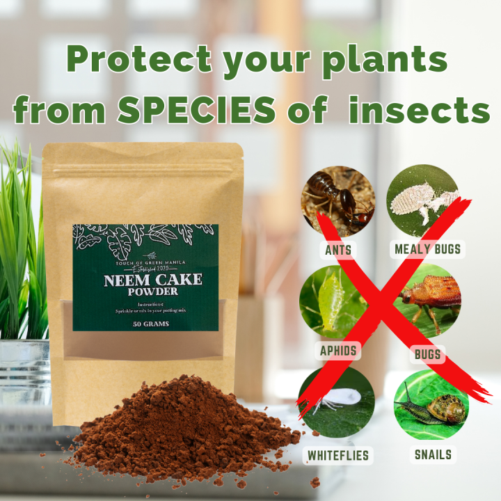 Neem Cake powder (50 grams) insecticide - pesticide - nematicide ...