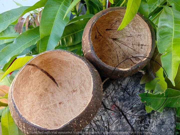 Native Bowl Coconut Bowl Coconut Shell Bowl Bao ng Niyog Nyog | Lazada PH