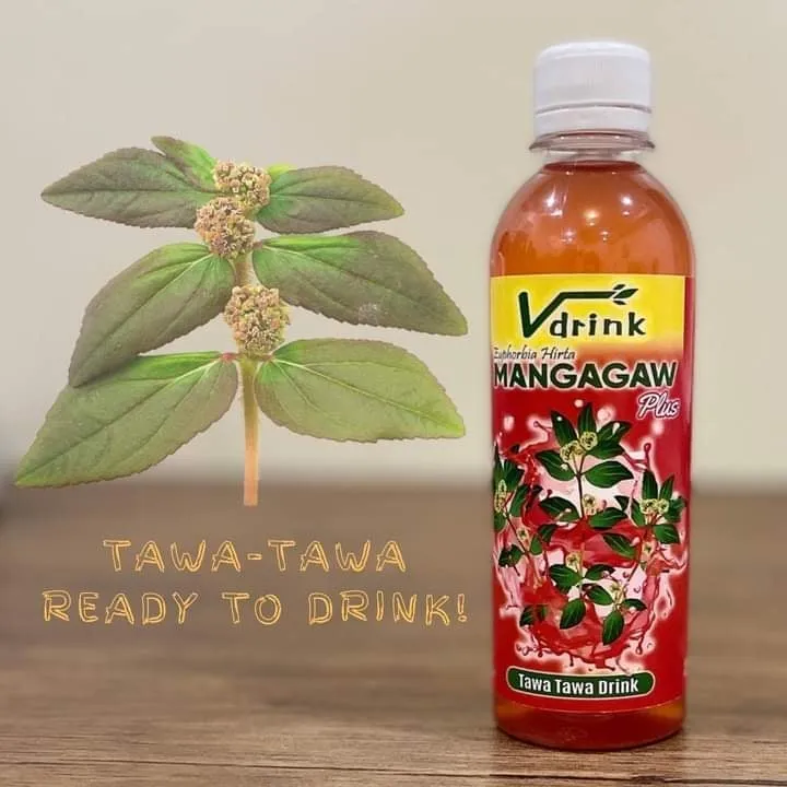 V-DRINK MANGAGAW JUICE (TAWA-TAWA) 275ml | Lazada PH